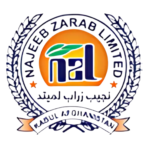 ERP and CRM Provider in Pakistan - ERISP